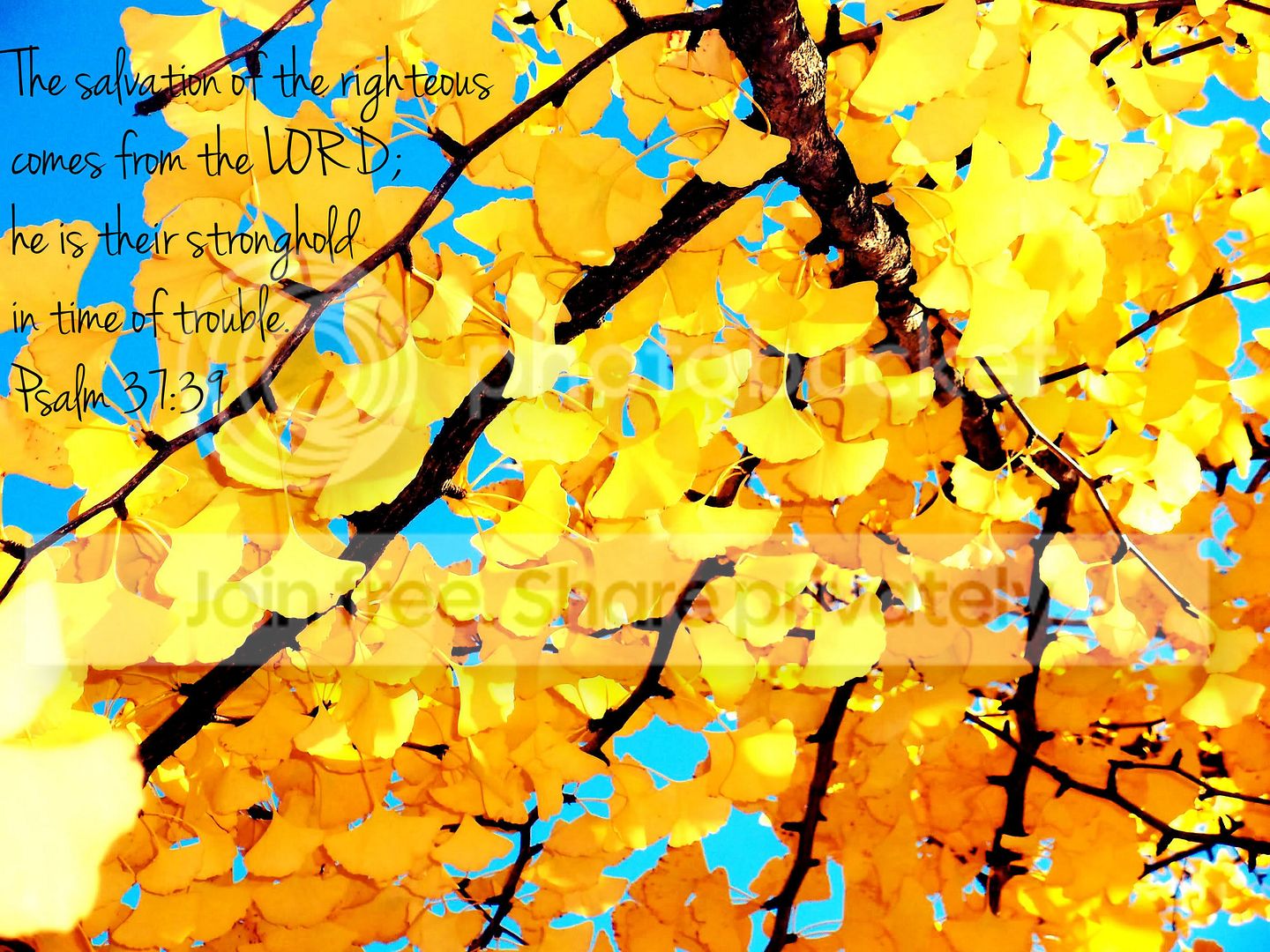 The Life Of Jennifer Dawn Happy Sunday